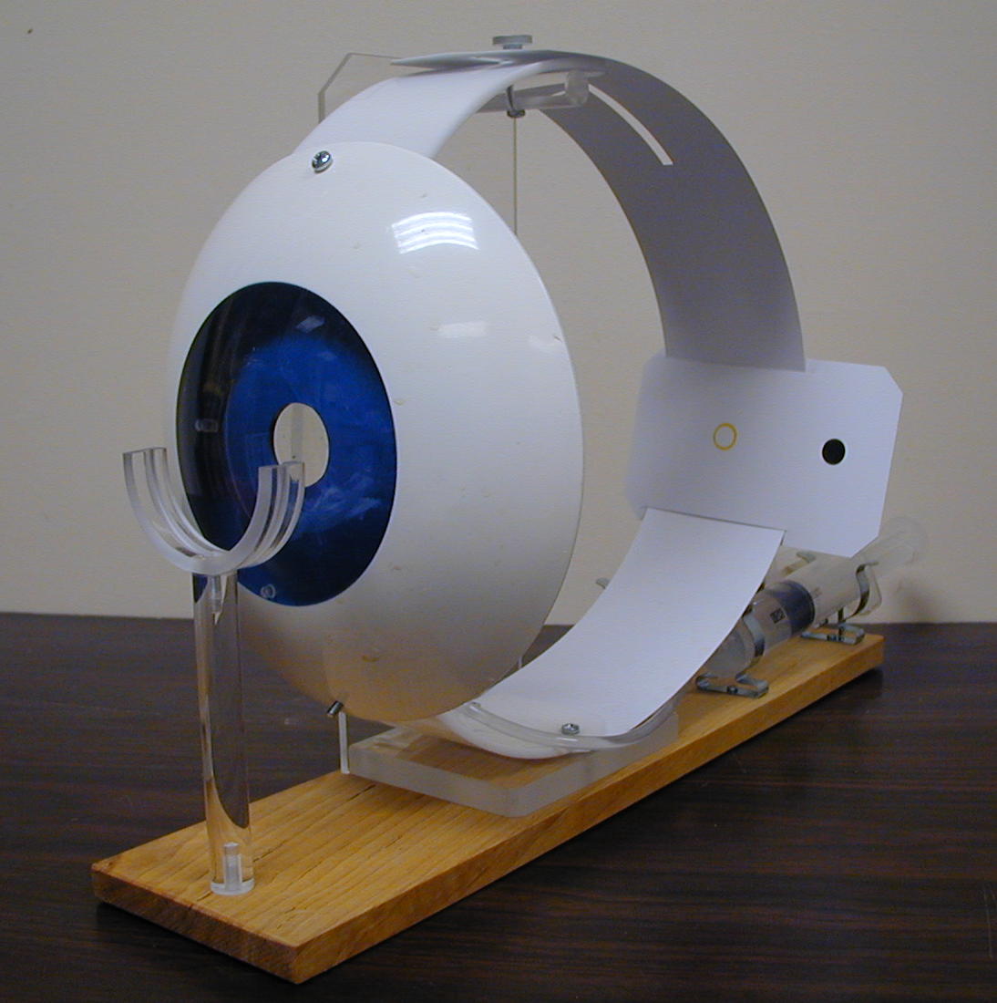 Biology2404 A&P Basics